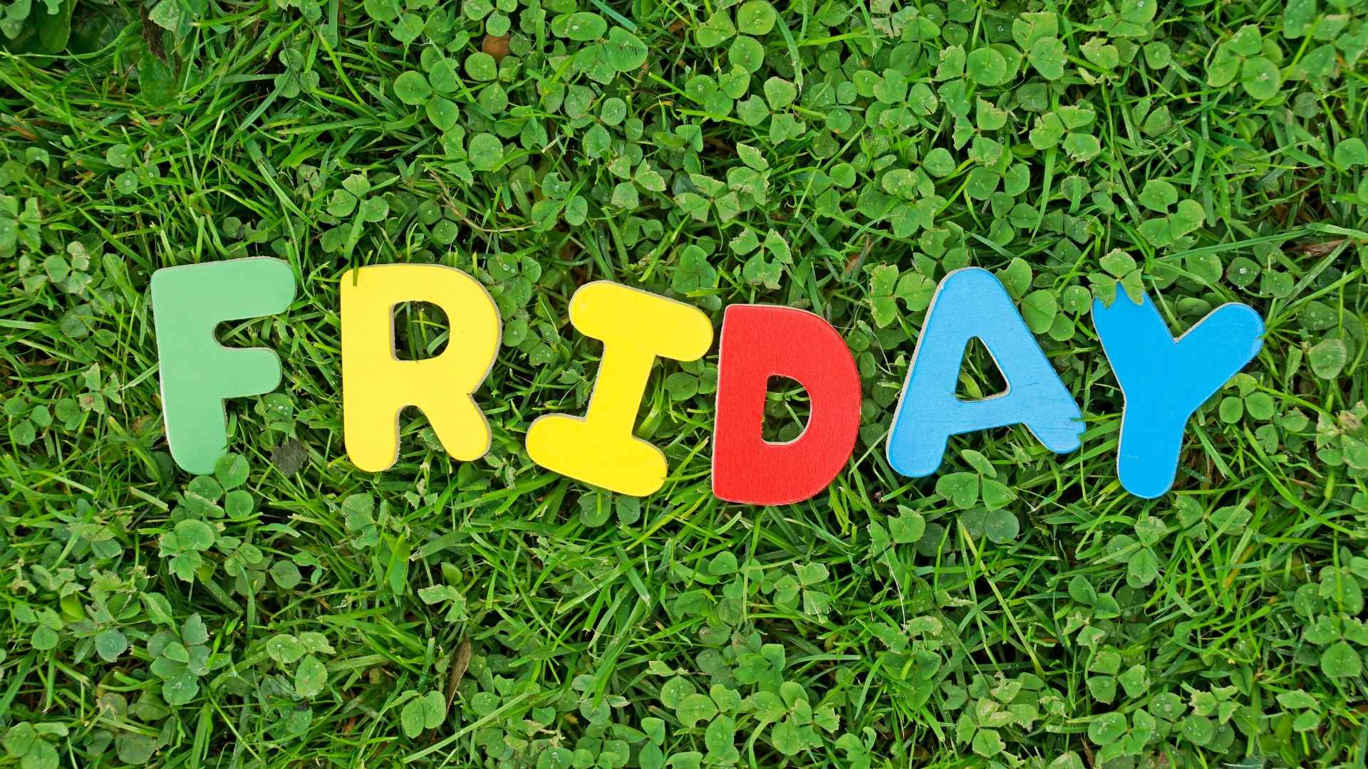 Green Friday November 29th: Save The Date – SUNMUD