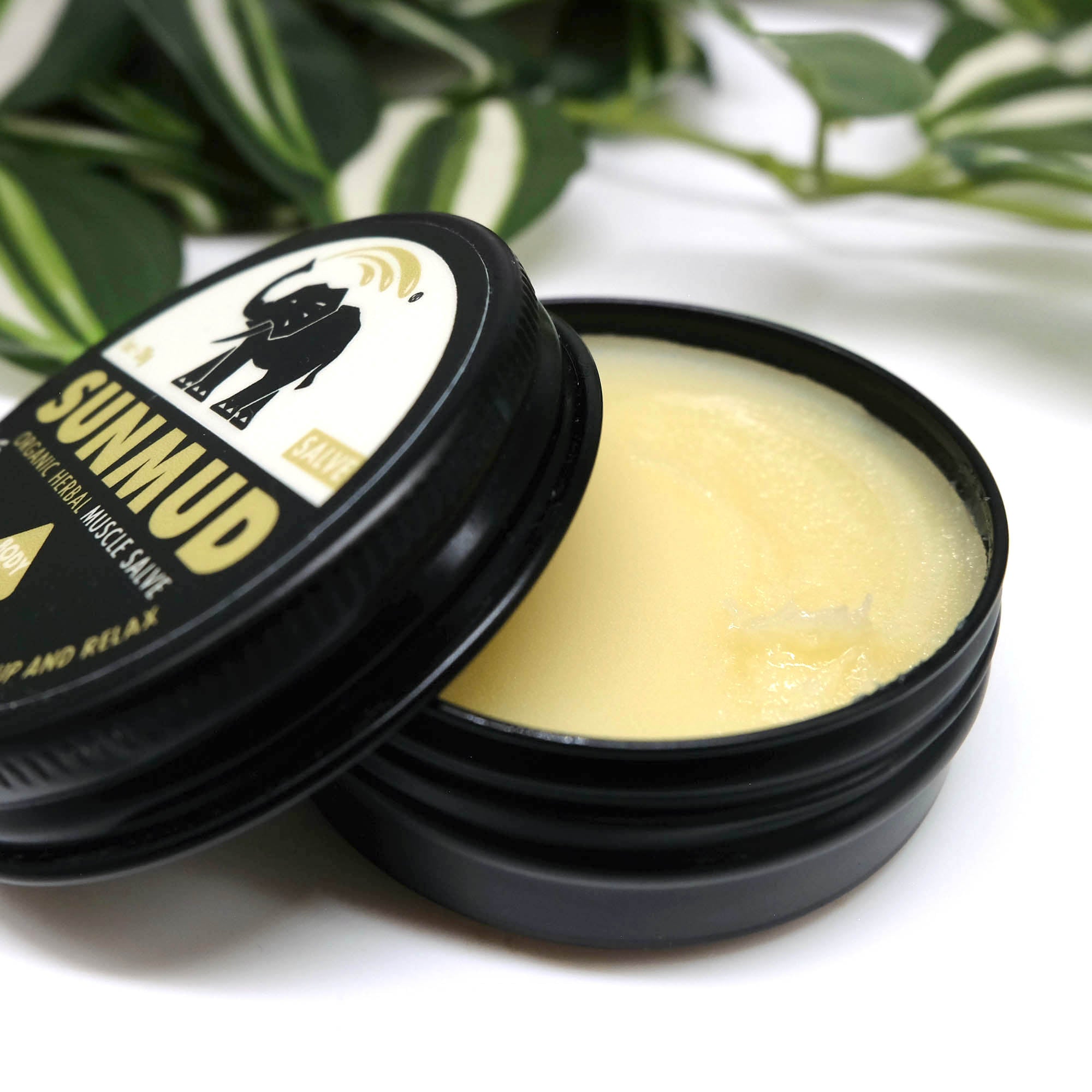 Muscle Salve – SUNMUD